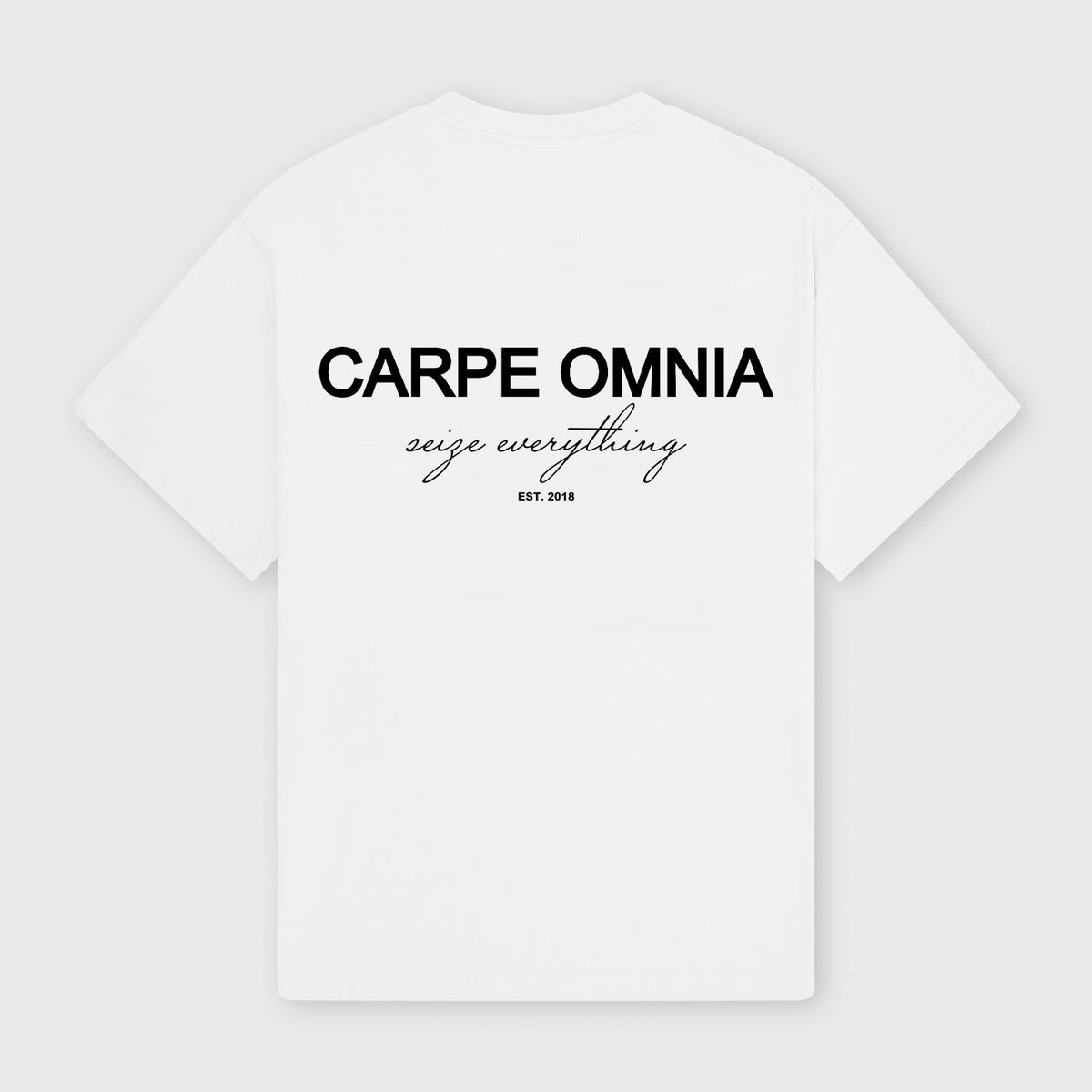 Definition 2.0 T-Shirt White – CARPE OMNIA